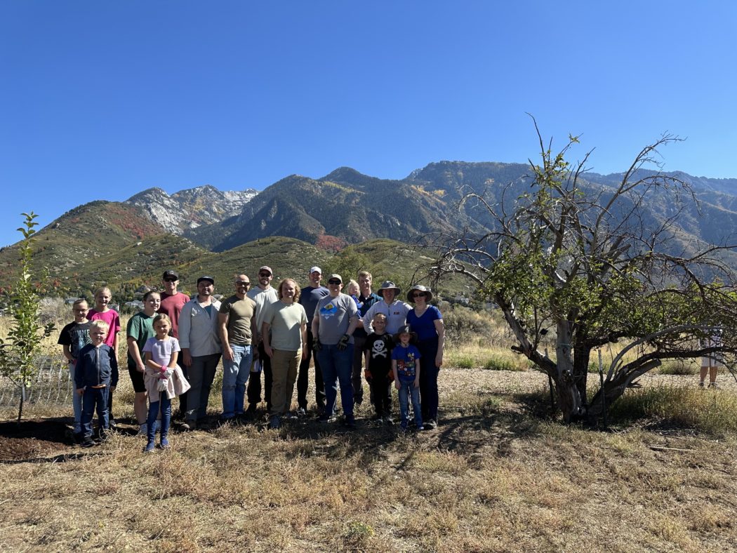 2023 Fall service project: Planting trees | Hansen, Allen & Luce, Inc.